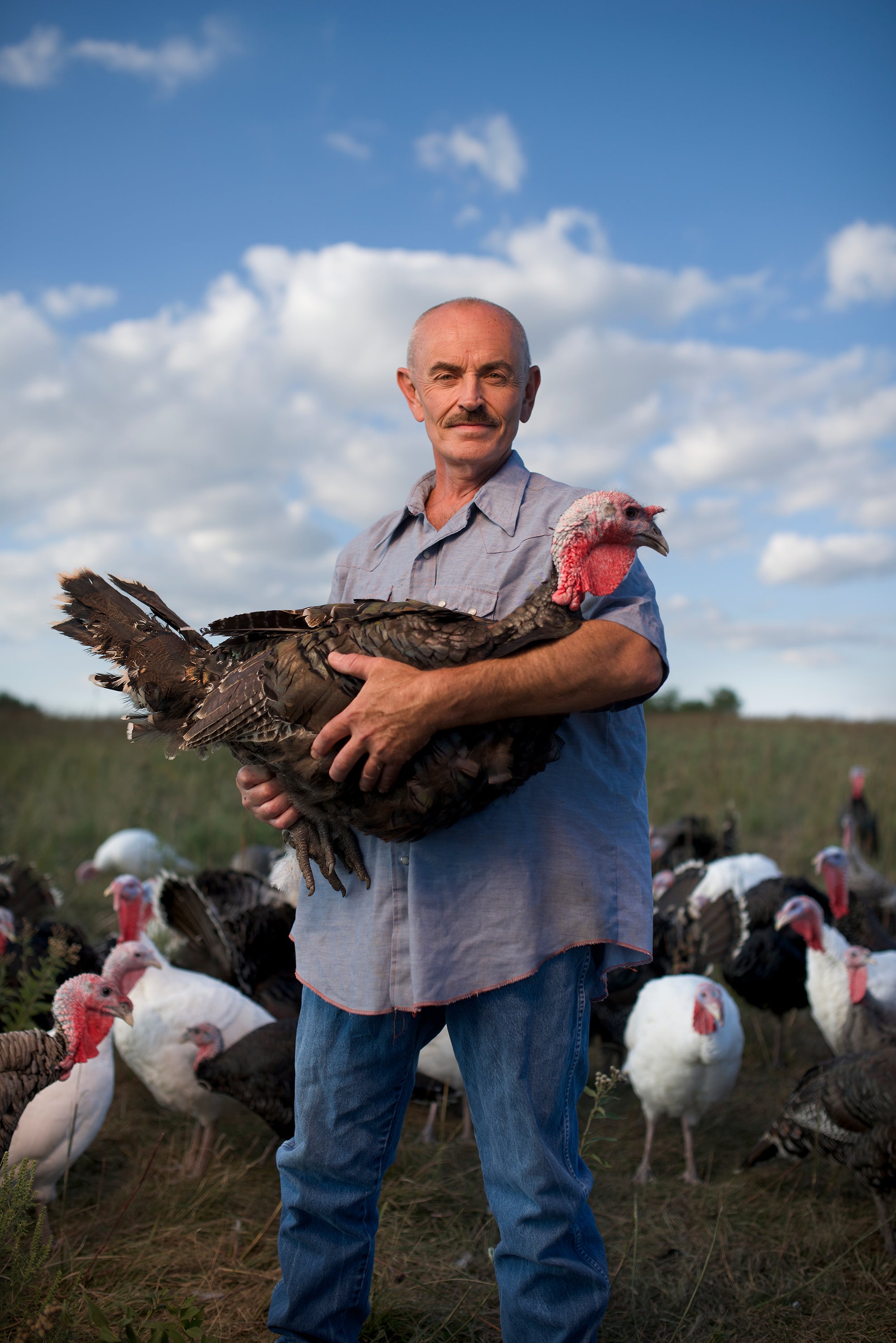 Frank Reese’s Turkeys Are Getting Hot by Derek Hawkins