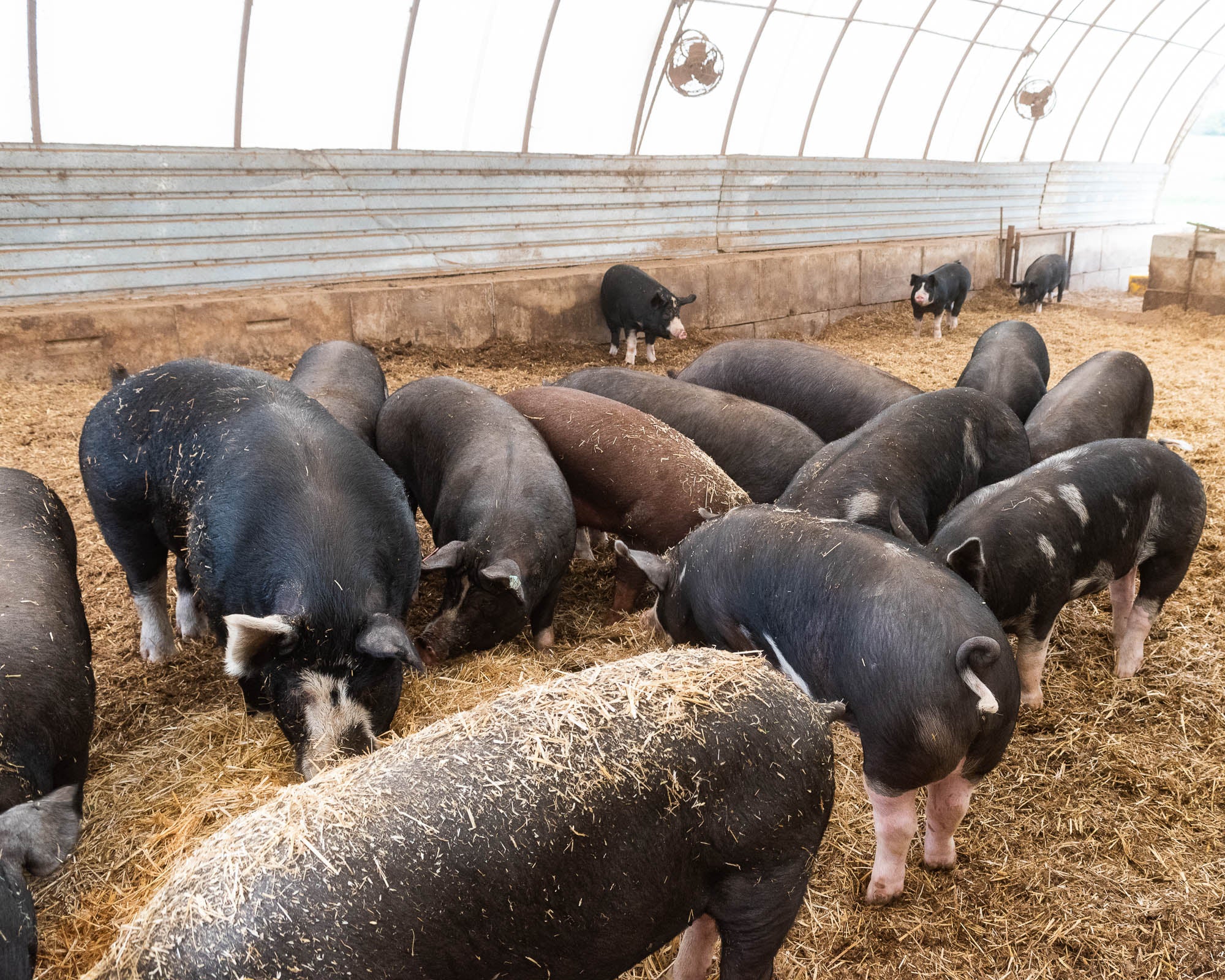 California's Prop 12 — A Step in the Right Direction