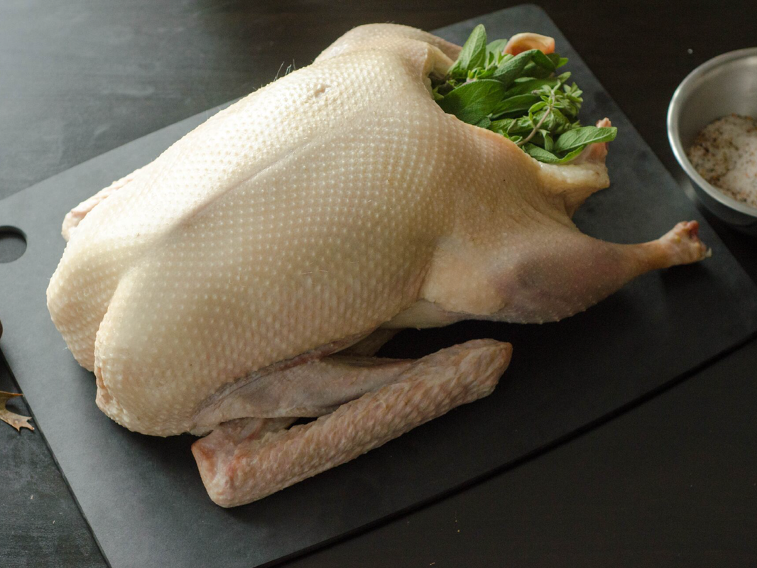 Whole Embden Goose