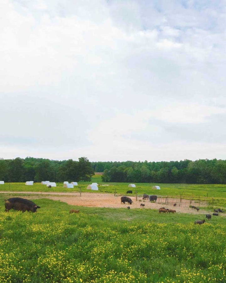 Uncured Ham | Heritage Foods